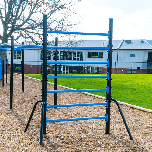 Olympus Vertical ladder - Park Supplies & Playgrounds